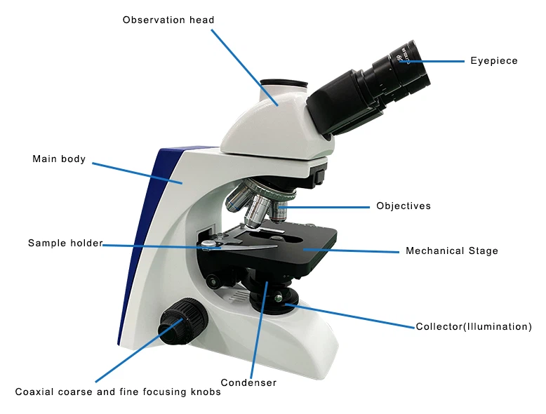 Partes De Un Microscopio Y Su Función